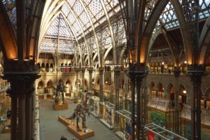 Oxford University Museum Of Natural History | Oxford University Tours
